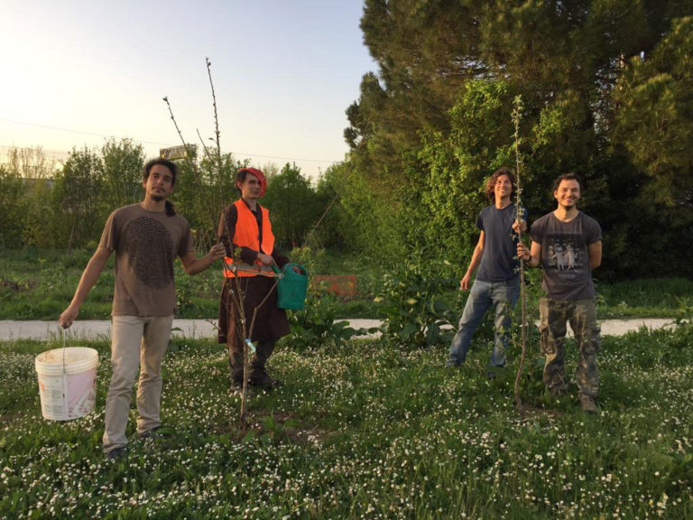 Un frutteto urbano (e sociale) nelle case popolari: nel weekend la ...