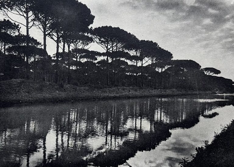 290 - La pineta di Rava