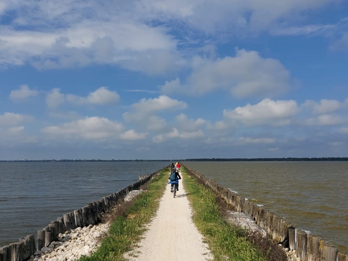 Da Sant'Alberto a Lido di Spina passando per le valli di Comacchio in ...
