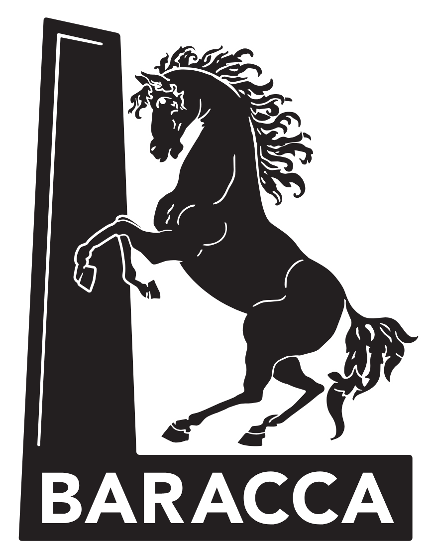 Calcio, nasce il nuovo Baracca Lugo: dalla stagione 2026-2027 una sola ...