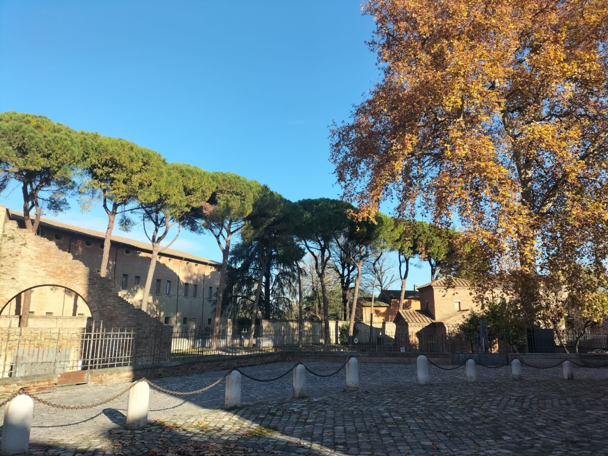 Ravenna, passeggiata in centro per salvare i pini di Galla Placidia